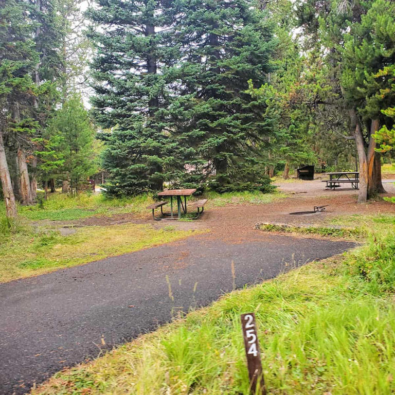 Bridge Bay Campground in Yellowstone National Park
