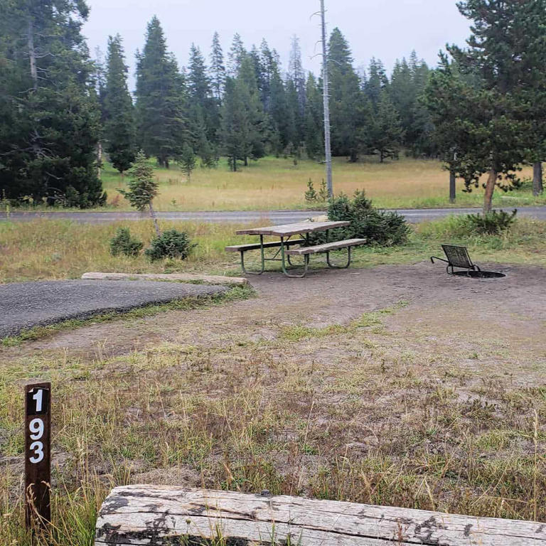 Bridge Bay Campground in Yellowstone National Park