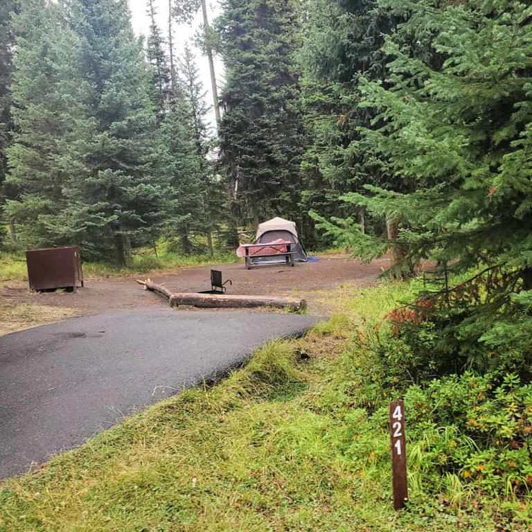 Bridge Bay Campground in Yellowstone National Park