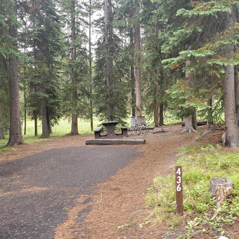 Bridge Bay Campground in Yellowstone National Park