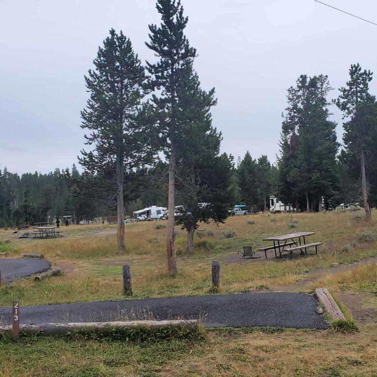 Bridge Bay Campground in Yellowstone National Park