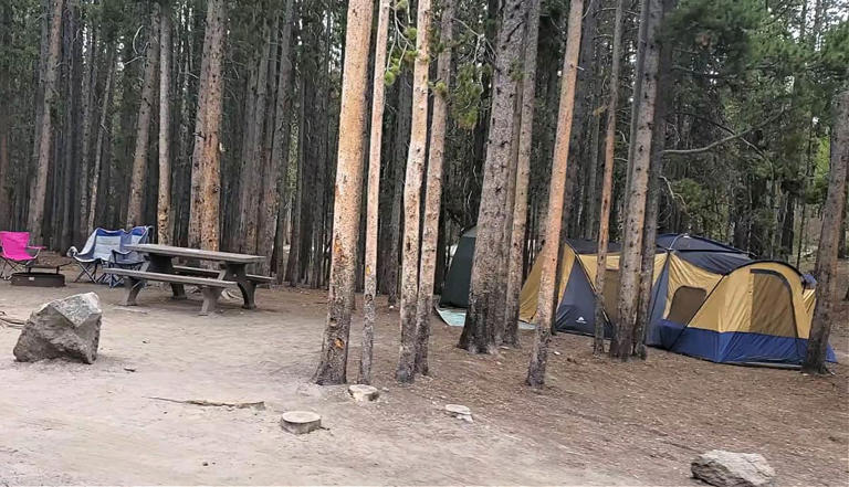 Canyon Campground in Yellowstone National Park