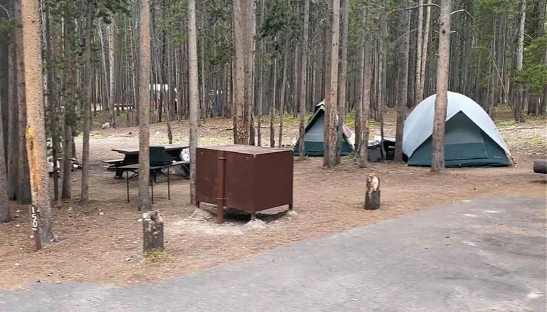 Canyon Campground in Yellowstone National Park