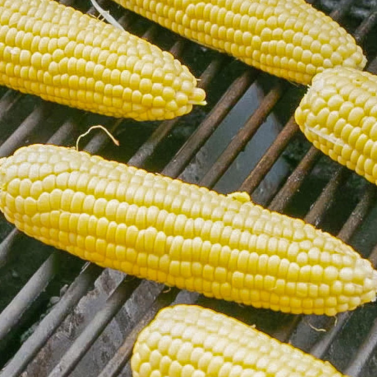 How To Grill Corn On The Cob Perfectly Every Time