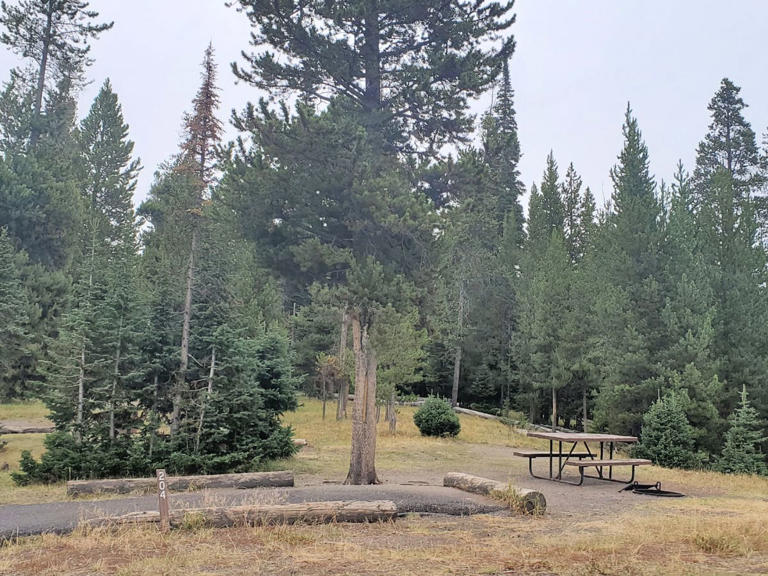 Bridge Bay Campground in Yellowstone National Park
