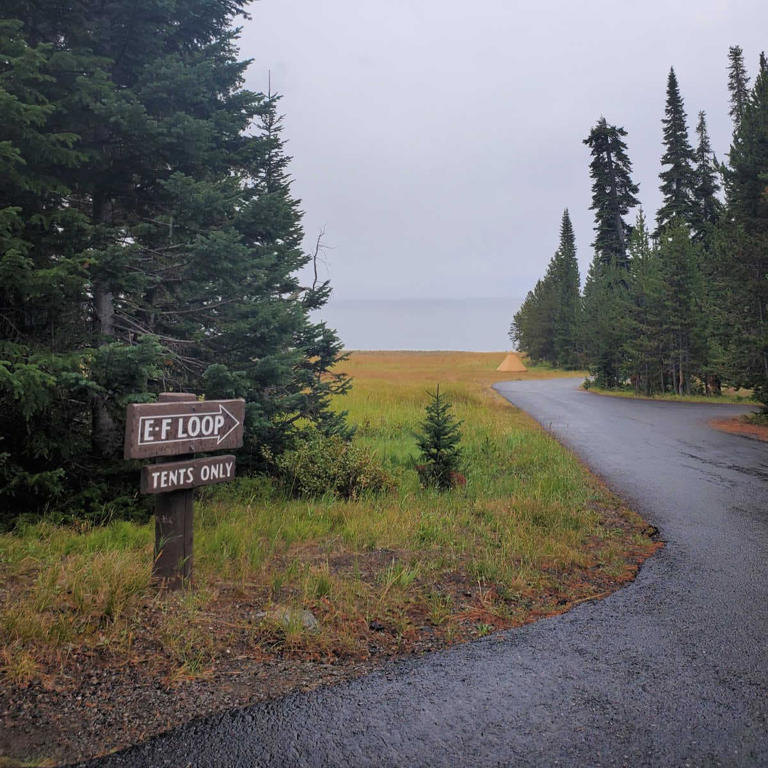 Bridge Bay Campground in Yellowstone National Park