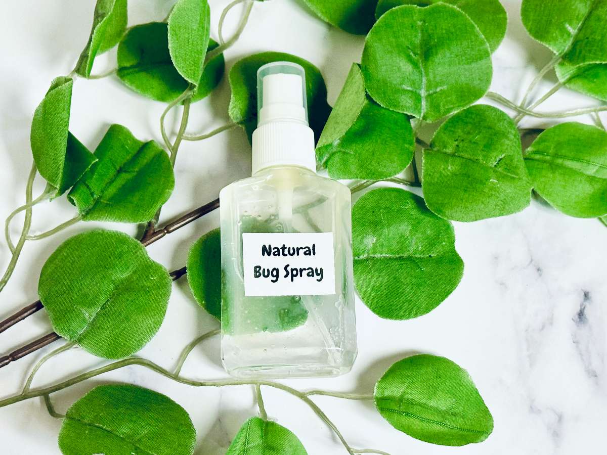 The Best Bug Spray With Natural Ingredients