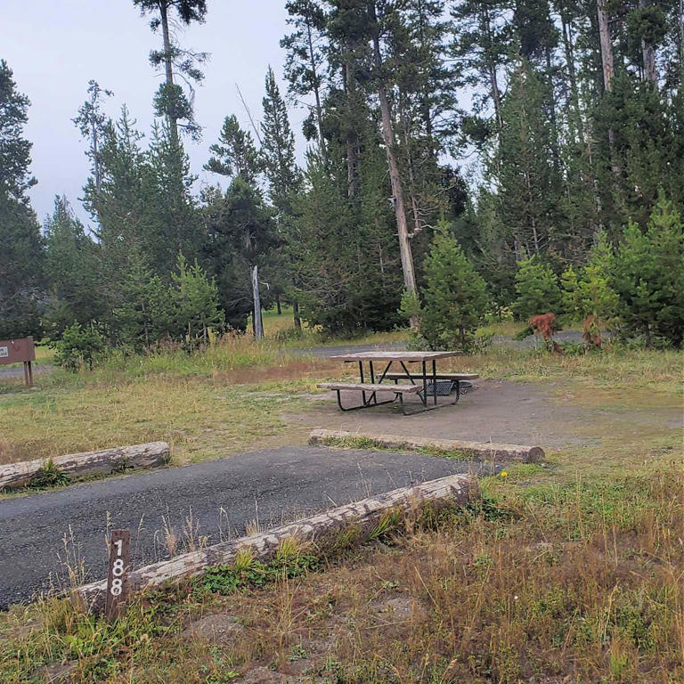 Bridge Bay Campground in Yellowstone National Park