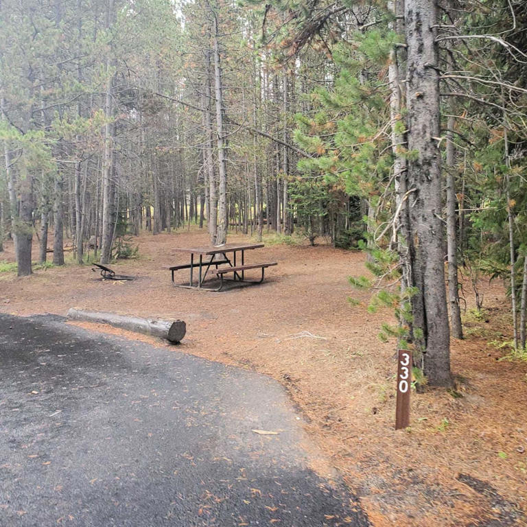 Bridge Bay Campground in Yellowstone National Park