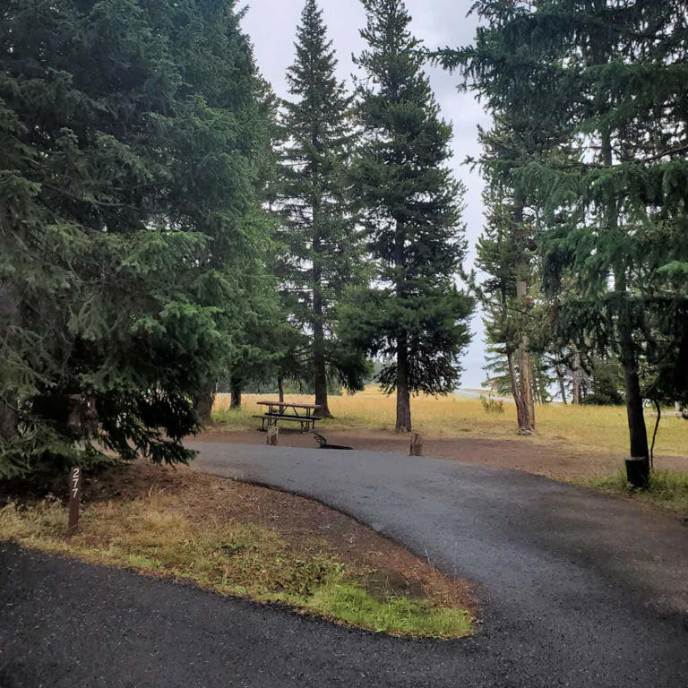 Bridge Bay Campground in Yellowstone National Park