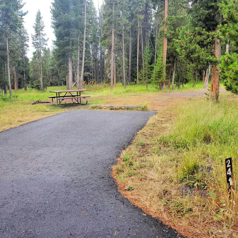 Bridge Bay Campground in Yellowstone National Park
