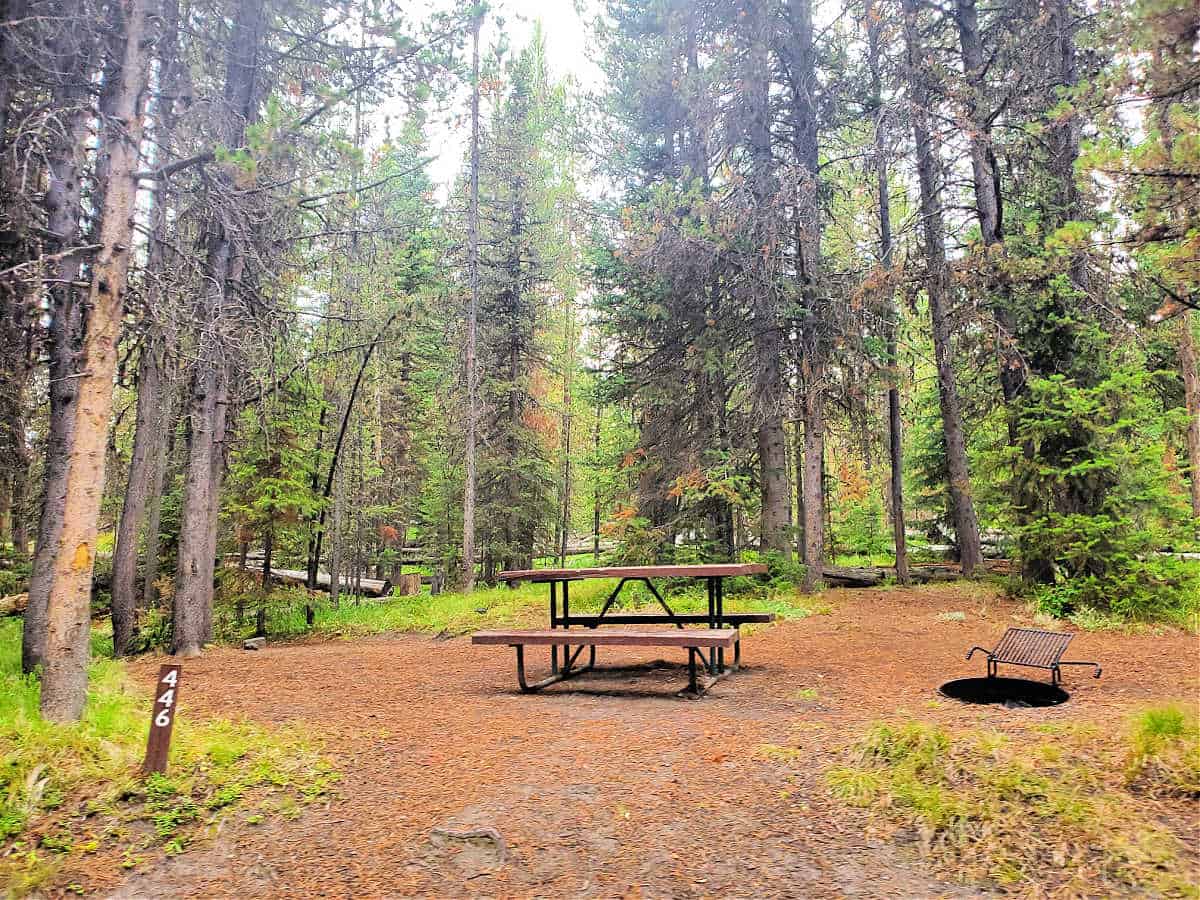 Bridge Bay Campground in Yellowstone National Park
