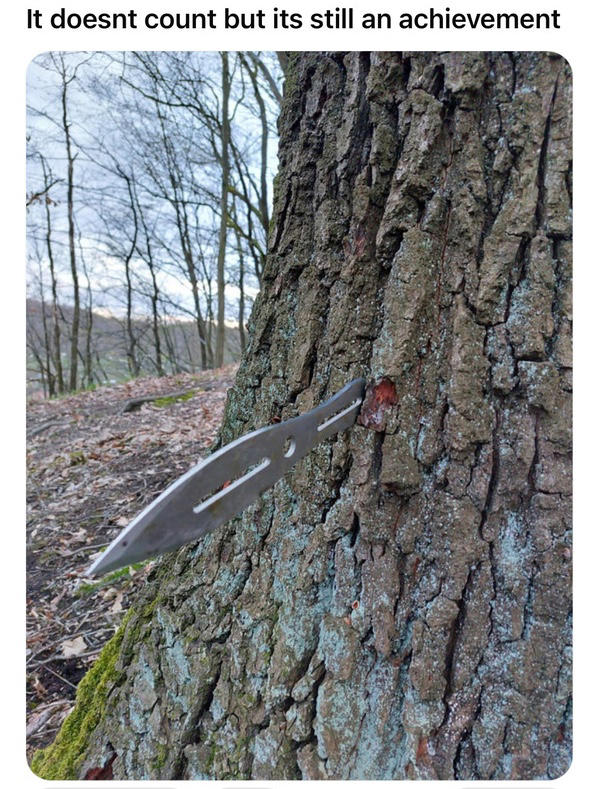 "Task Failed Successfully" — 40 Funny Time When Epic Fails Turned Into ...