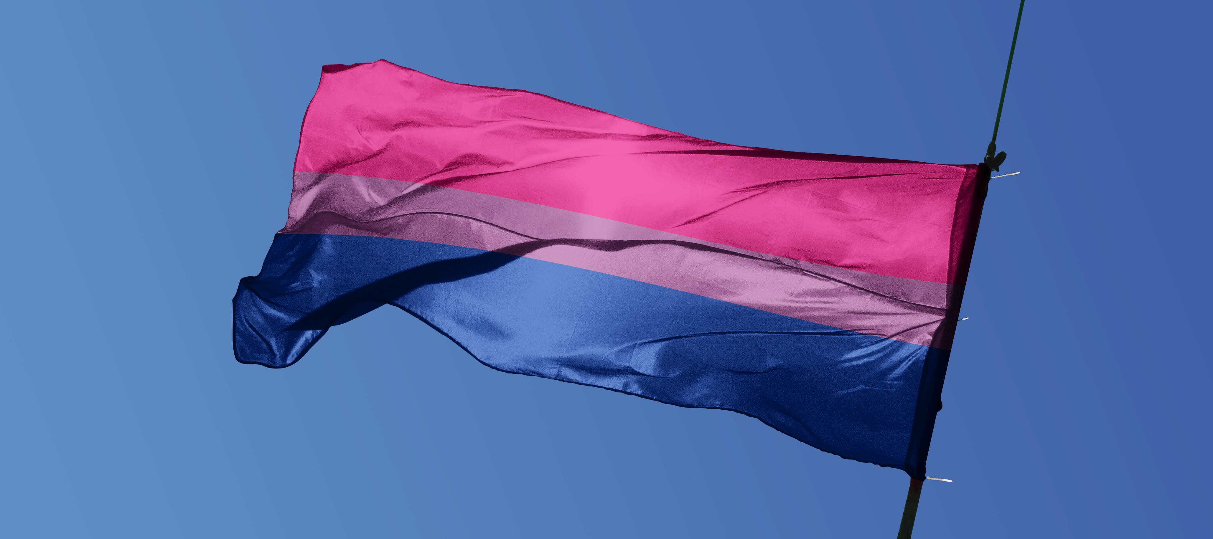 What do the colors of the bisexual pride flag mean? Here's who created ...