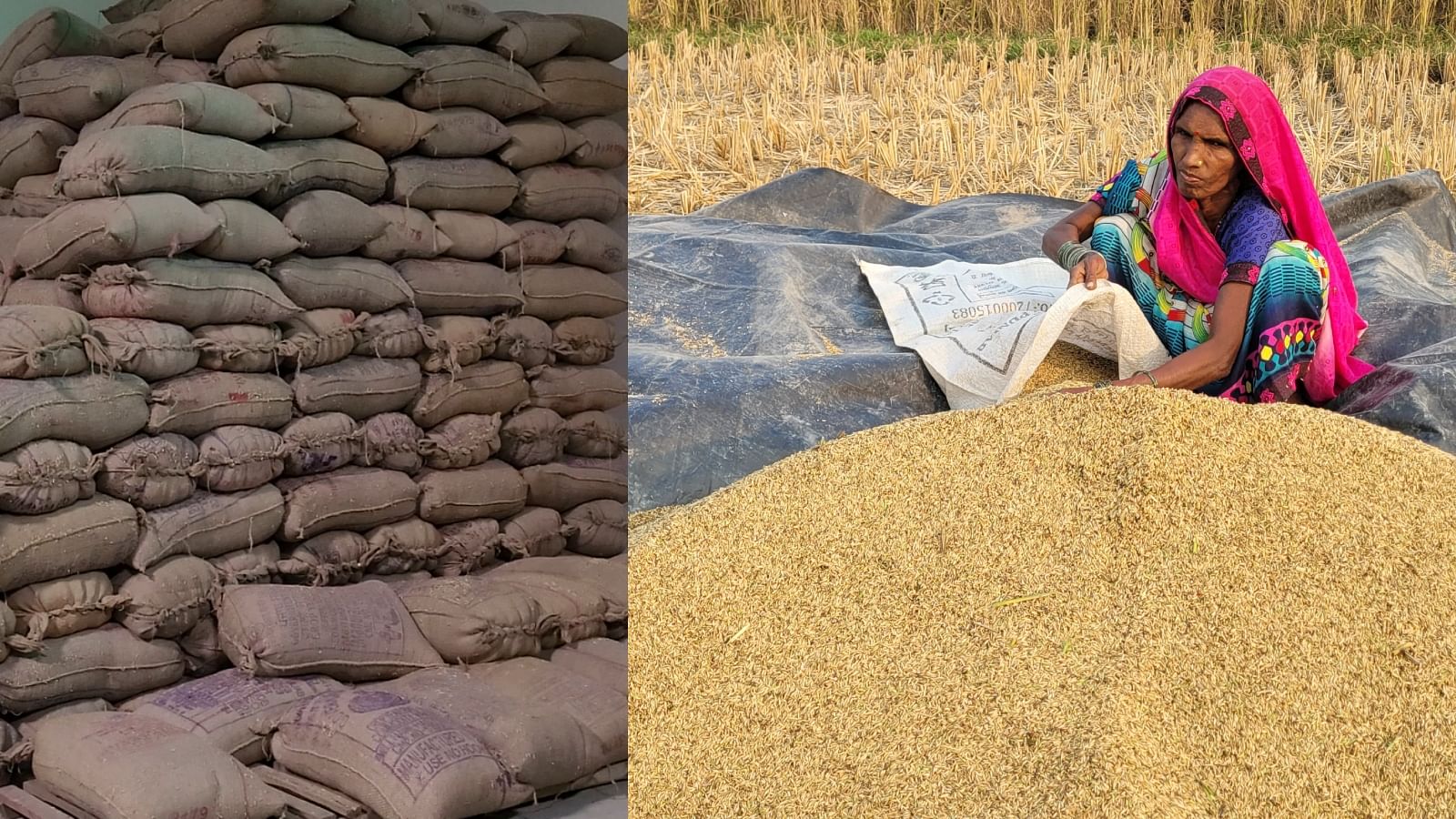 PM-ASHA SCHEME: किसानों को उपज का लाभकारी मूल्य और उपभोक्ताओं को कीमतों ...