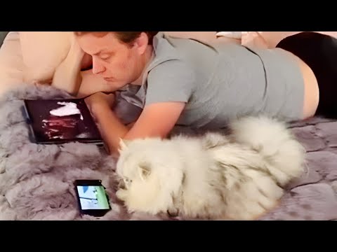 When cat and owner are clearly soulmates for life