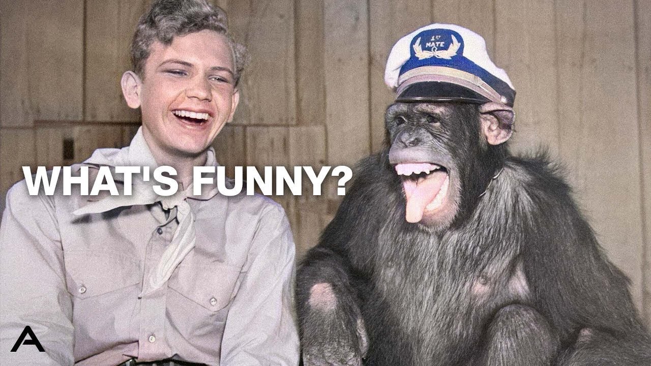 The science and psychology behind why humans laugh