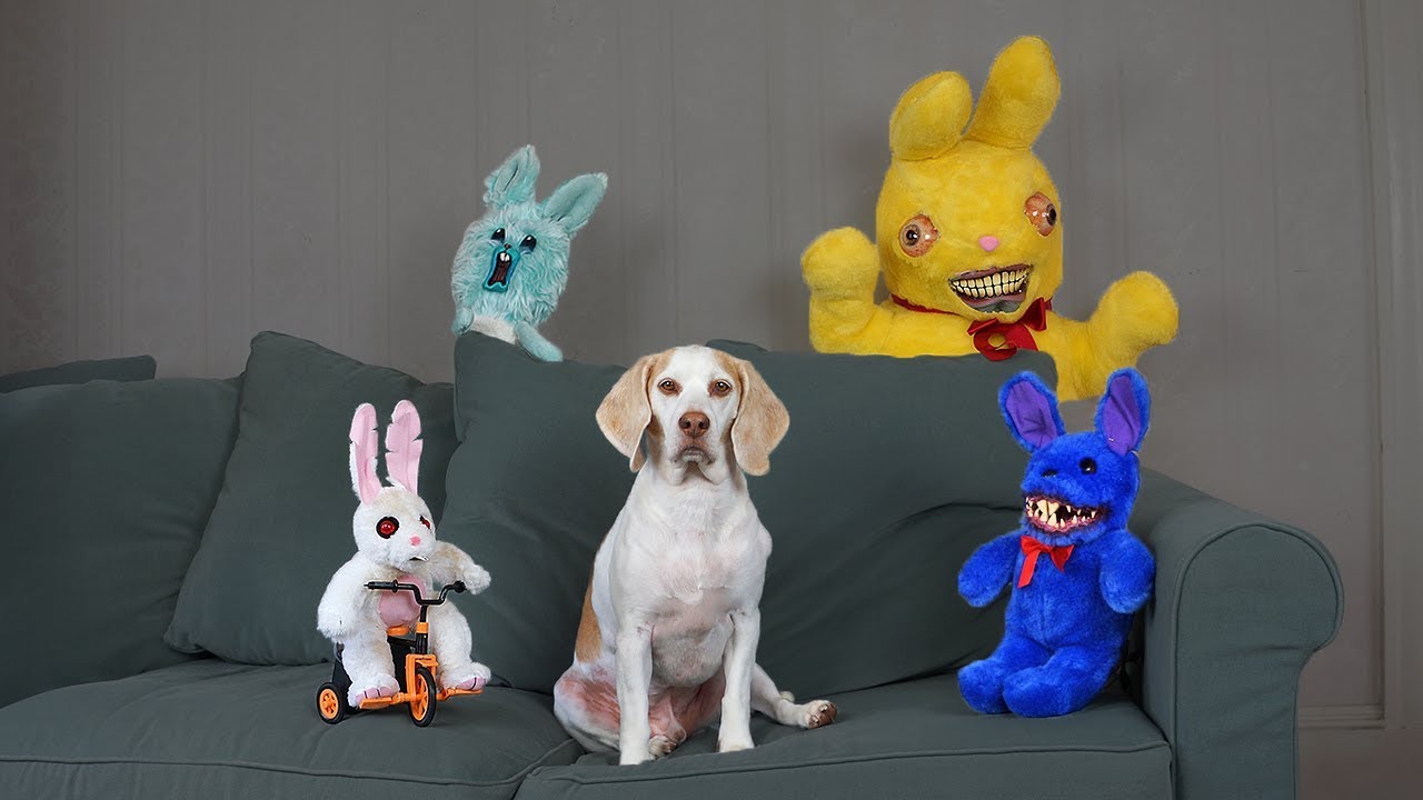 Dogs challenge evil bunnies with clever tricks