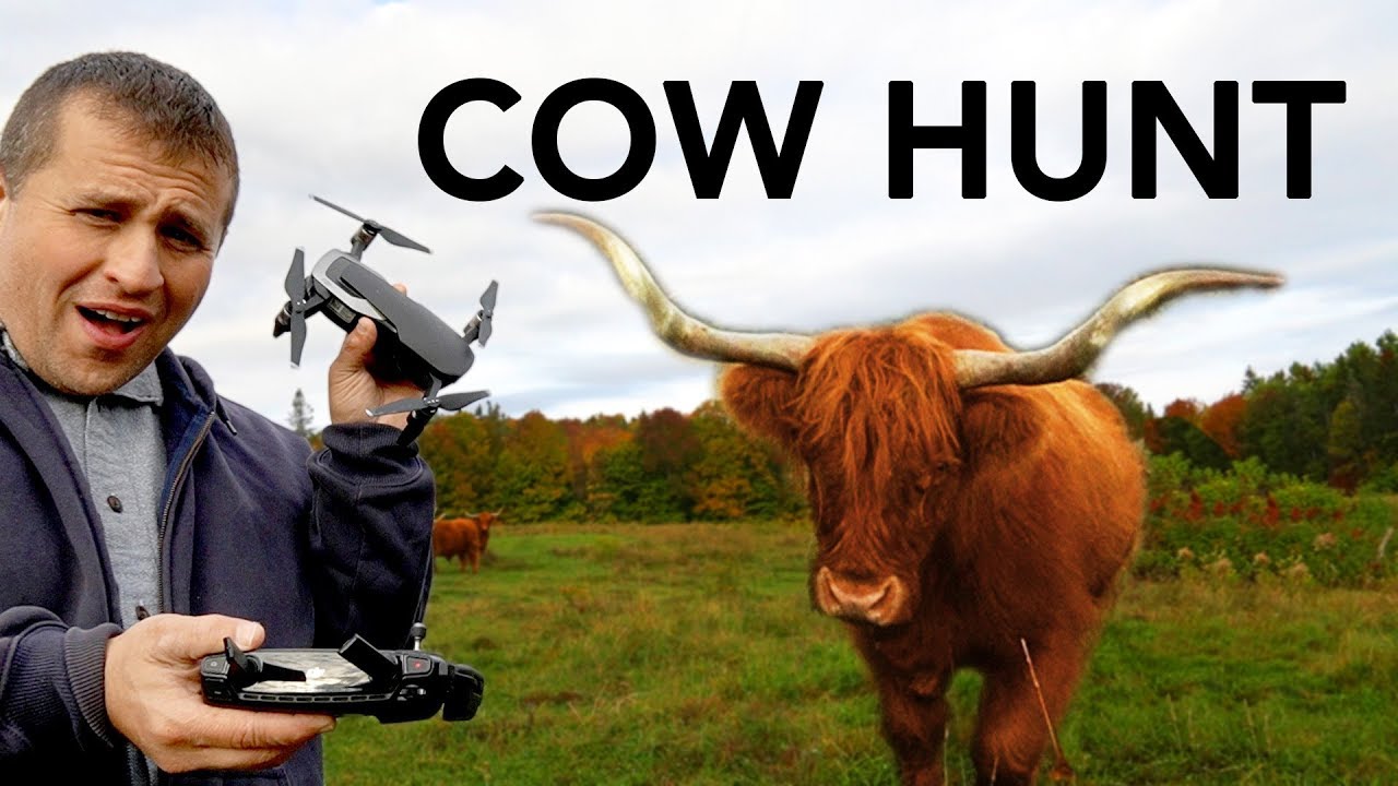 Search and rescue team uses drones to locate a missing cow
