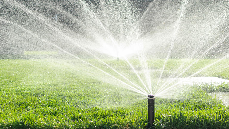 Gardeners reveal why you should stop watering your lawn every day