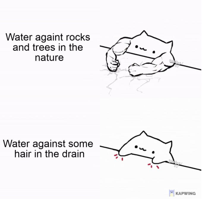 Hilarious Cat Memes That Will Brighten Your Day