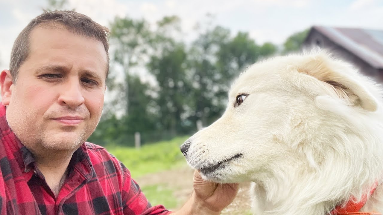 Tracing the Strange Fate of My Dog’s Grandfather