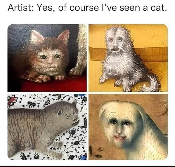 Hilarious Cat Memes That Will Brighten Your Day