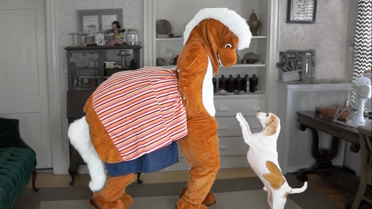 Horse Pranks Silly Dog in Barnyard Adventure