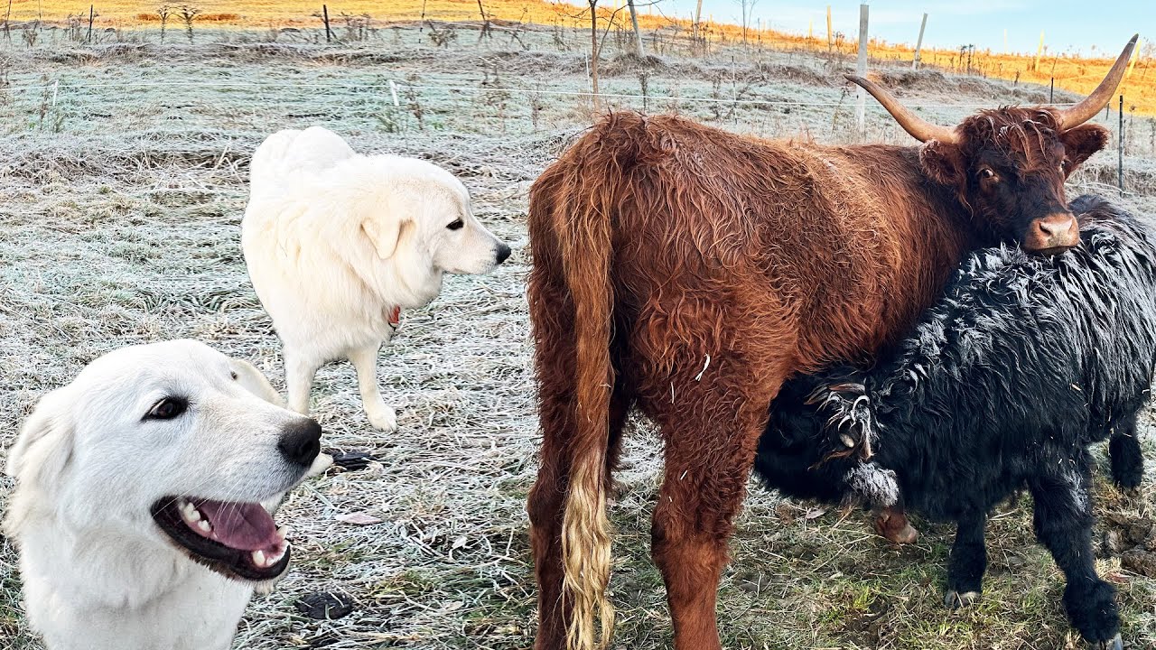 A Farm Built for Winter
