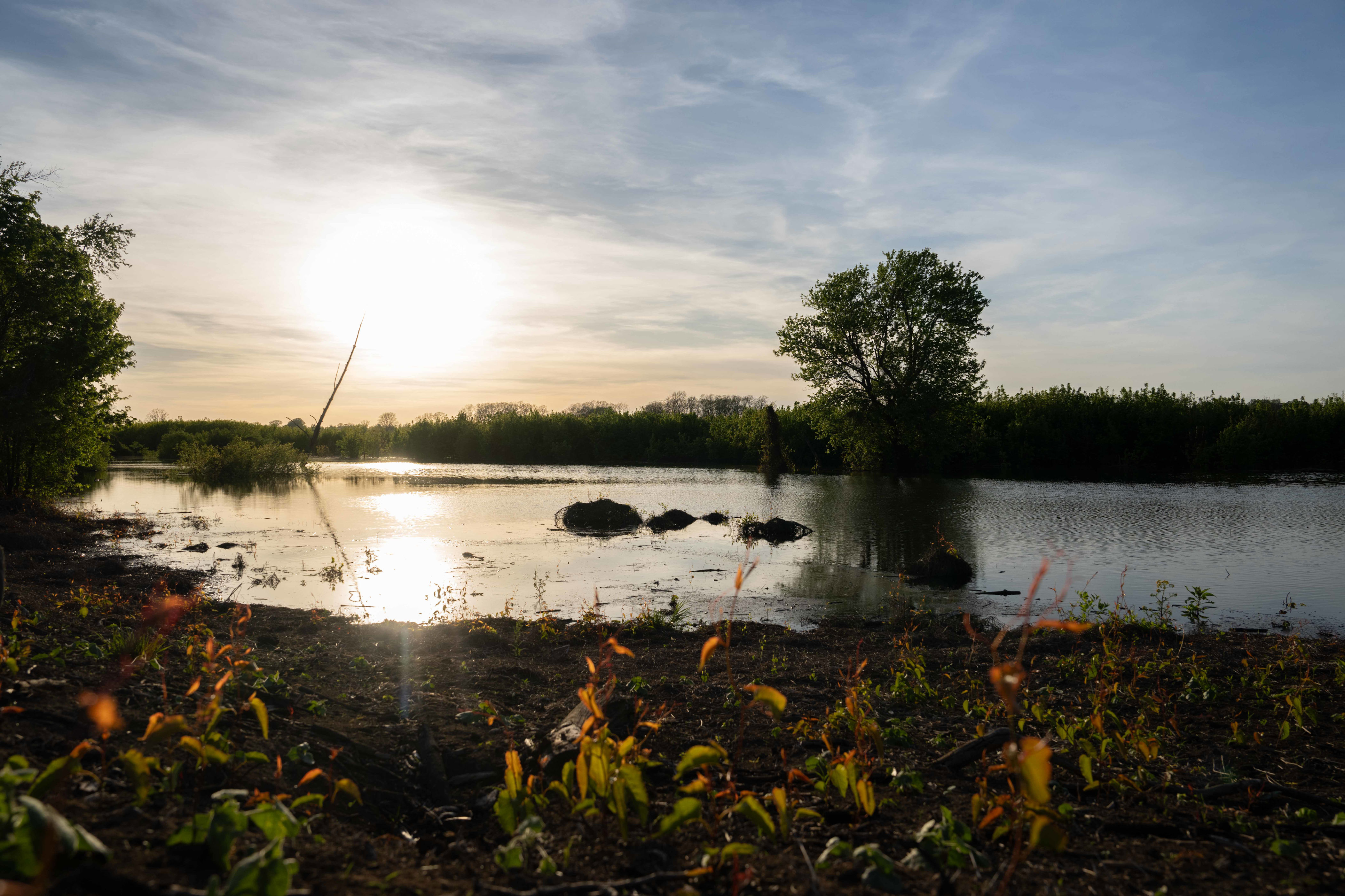 Trump EPA moves to weaken Clean Water Act, with direct effects on ...