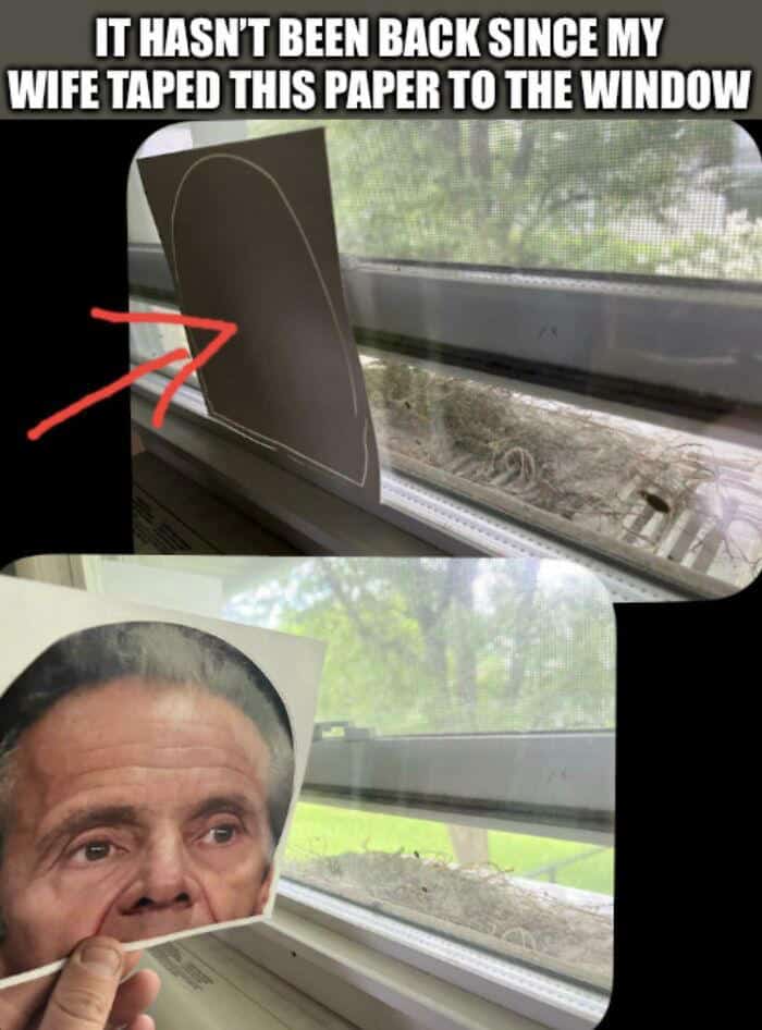 "There, Fixed It" — 40 Funny Times People Solved Problems With ...