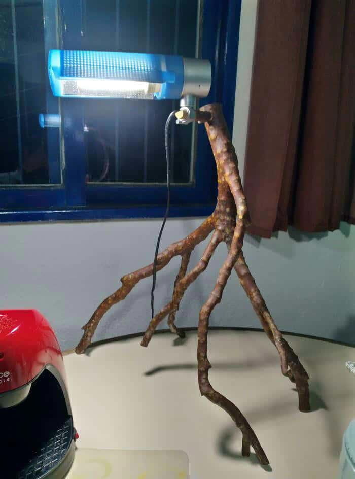 "There, Fixed It" — 40 Funny Times People Solved Problems With ...