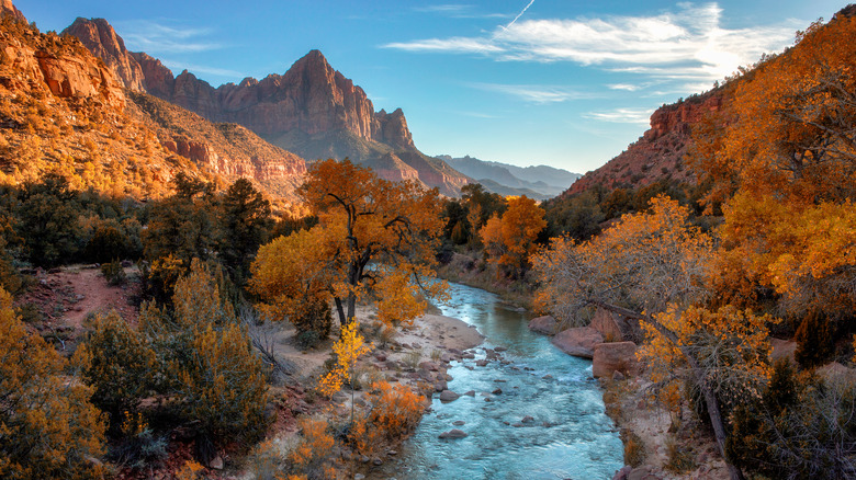 The Best US National Parks For Camping, According To Reviews