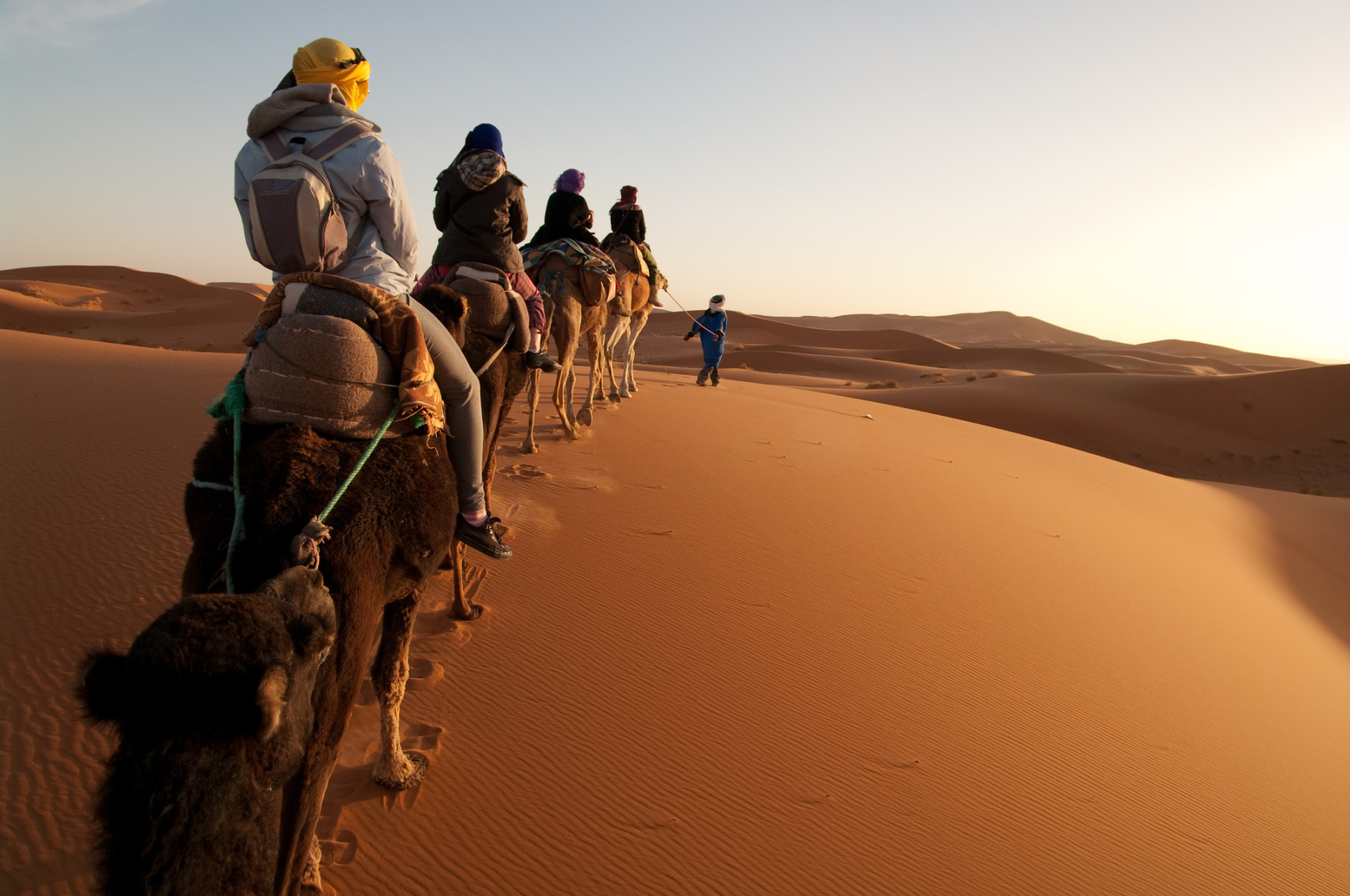 Fascinating facts about the Sahara desert