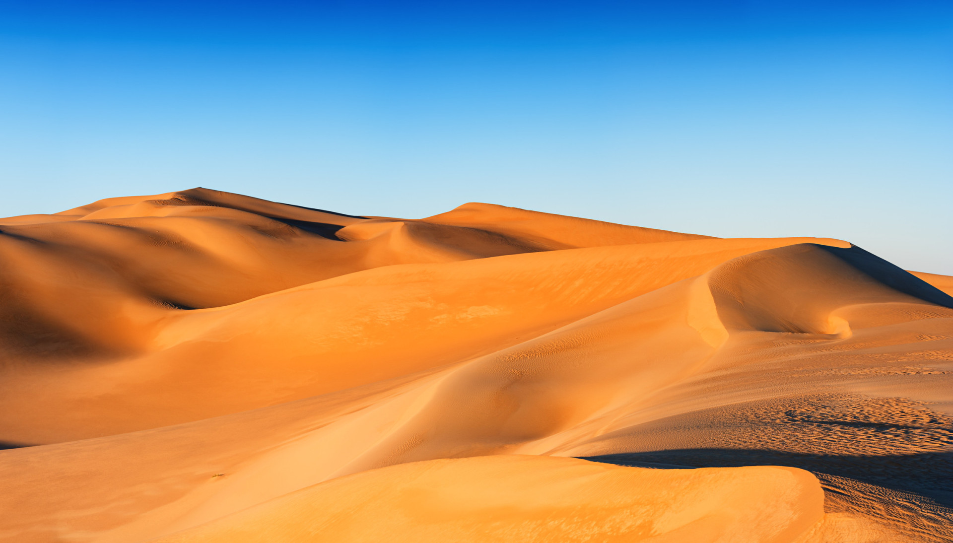 Fascinating facts about the Sahara desert