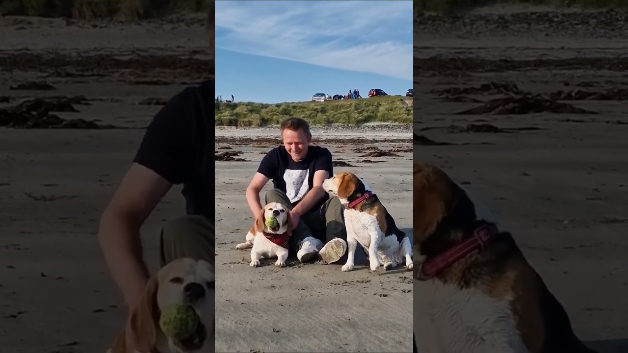 My dog is the best friend anyone could ever ask for