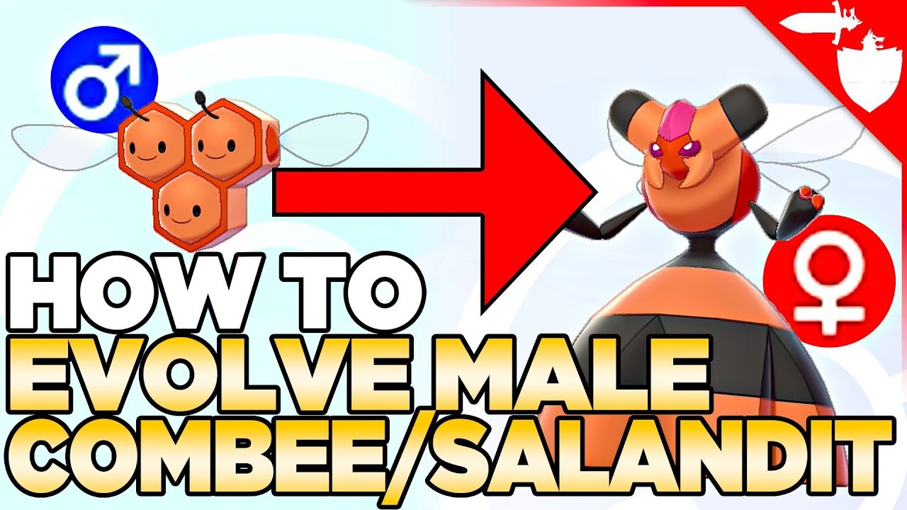 How To Evolve Male Combee & Salandit in Pokemon Sword and Shield