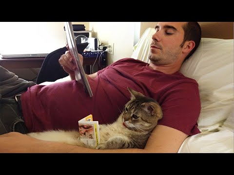 Can Animals Be Best Friends with Humans? Heartwarming Love Stories