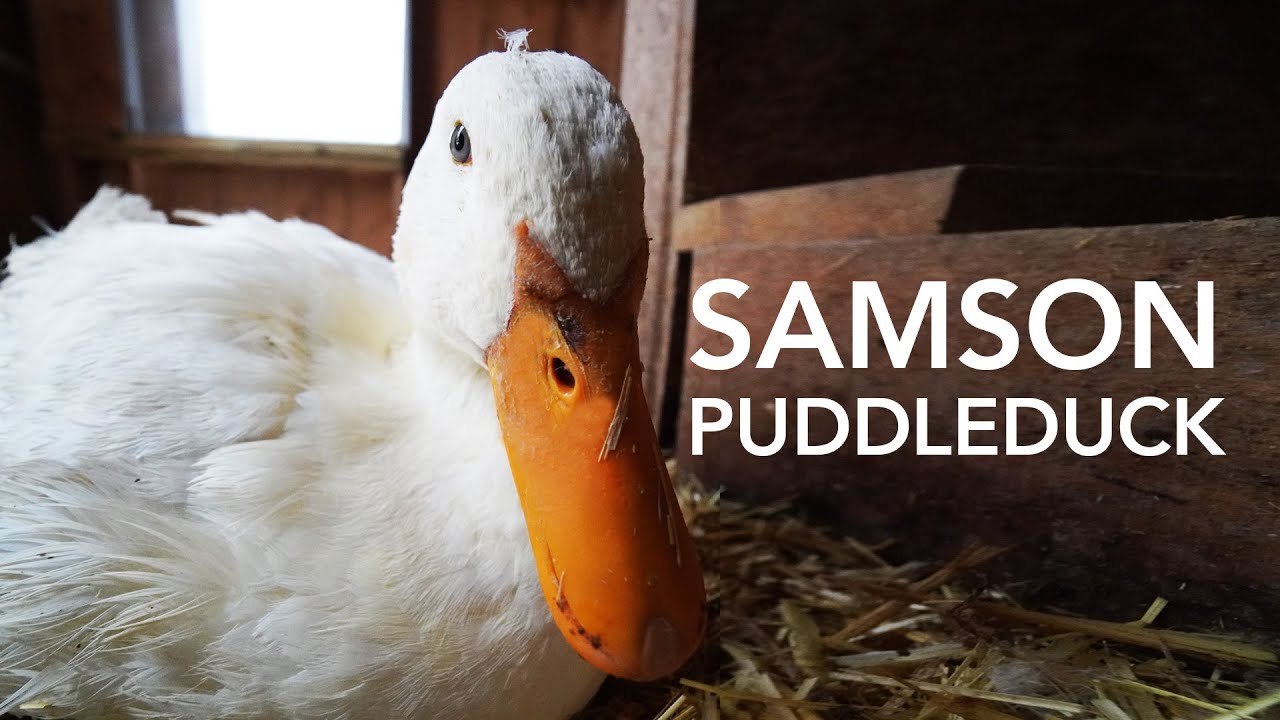 Remembering a Farm Legend Who Changed Everything