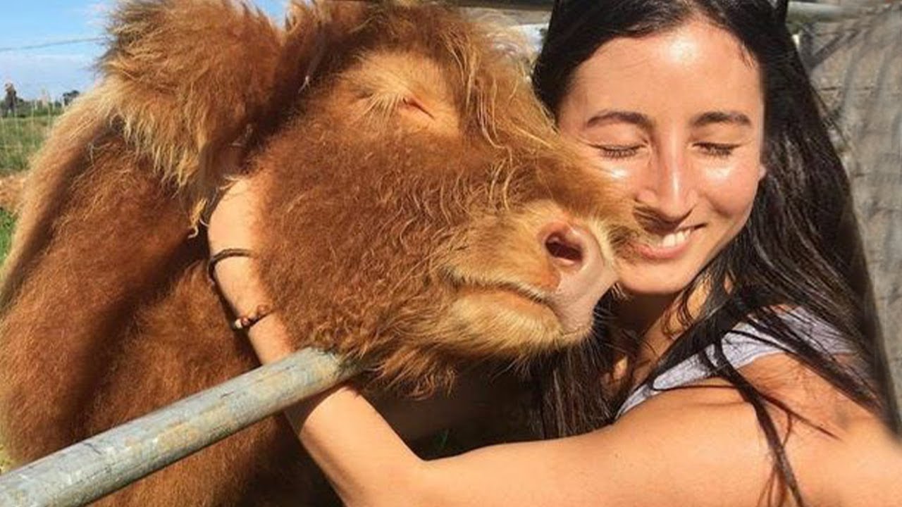 Funny Moments of Deep Connections Between Pets and Humans