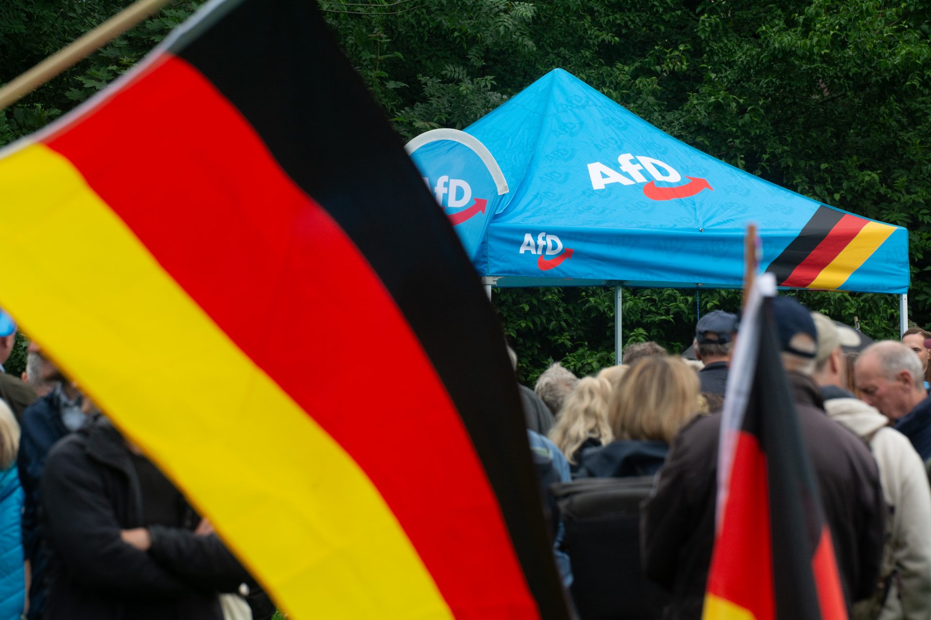 No immediate ban on Germany's AfD expected