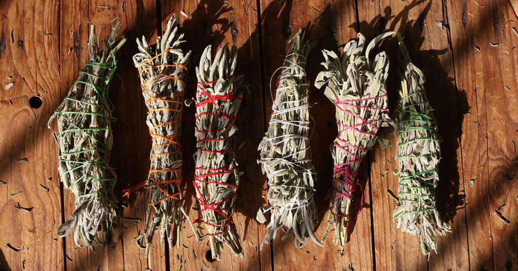 10 Plants With Spiritual Significance To Native Americans