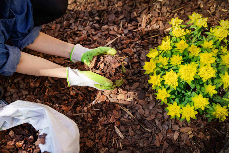 We asked garden pros if mulching prevents weeds—they both said the same ...