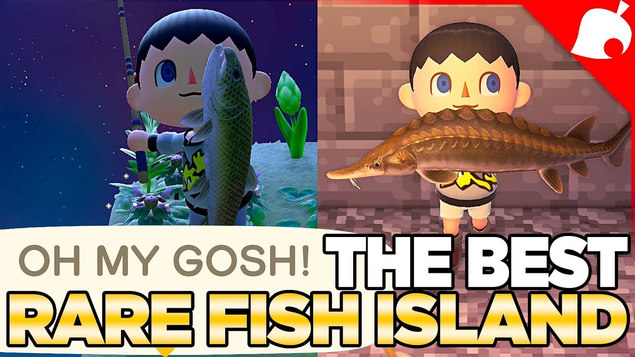The Rare Sturgeon Fish Island in Animal Crossing New Horizons