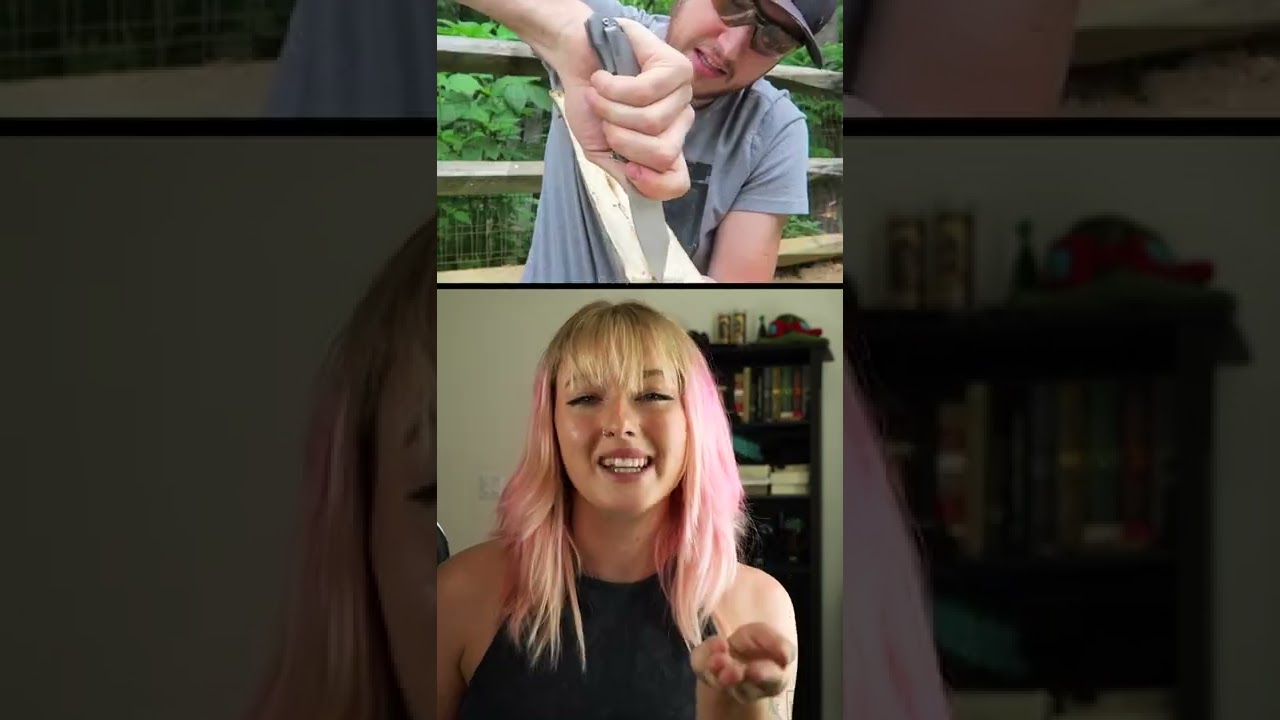 How to stay alive alone in a dense forest