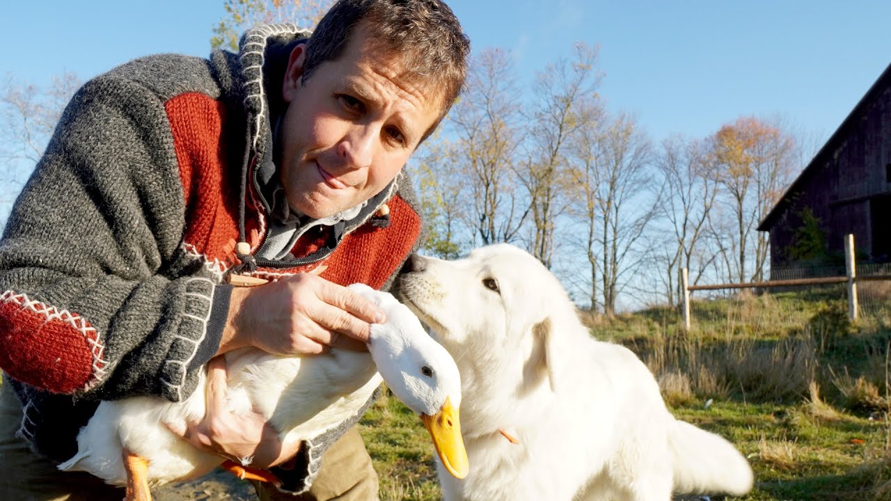 Saying Goodbye on the Farm for Its Own Survival
