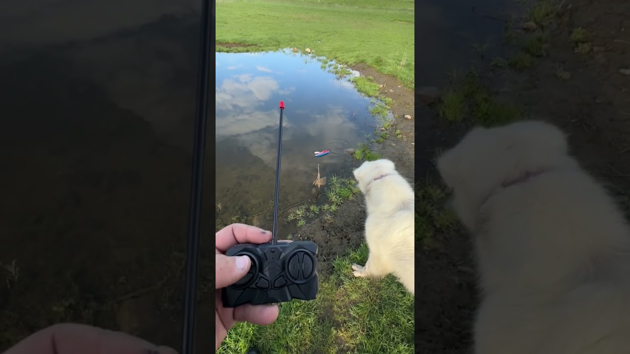 Underwater Pond Exploration