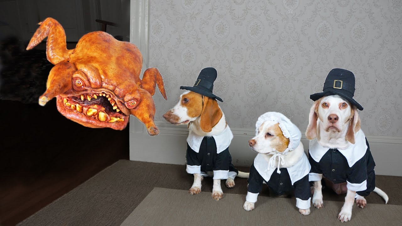 Pilgrim Dogs Battle Giant Turkey Monster