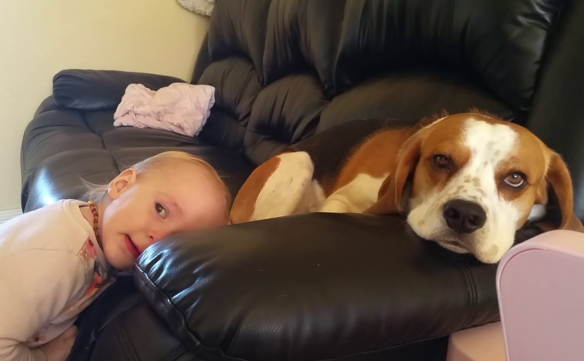 Beagle and baby explore a hilarious play tunnel adventure