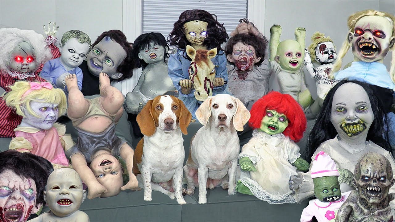 Dogs vs zombie baby daycare prank epic Halloween chaos Maymo